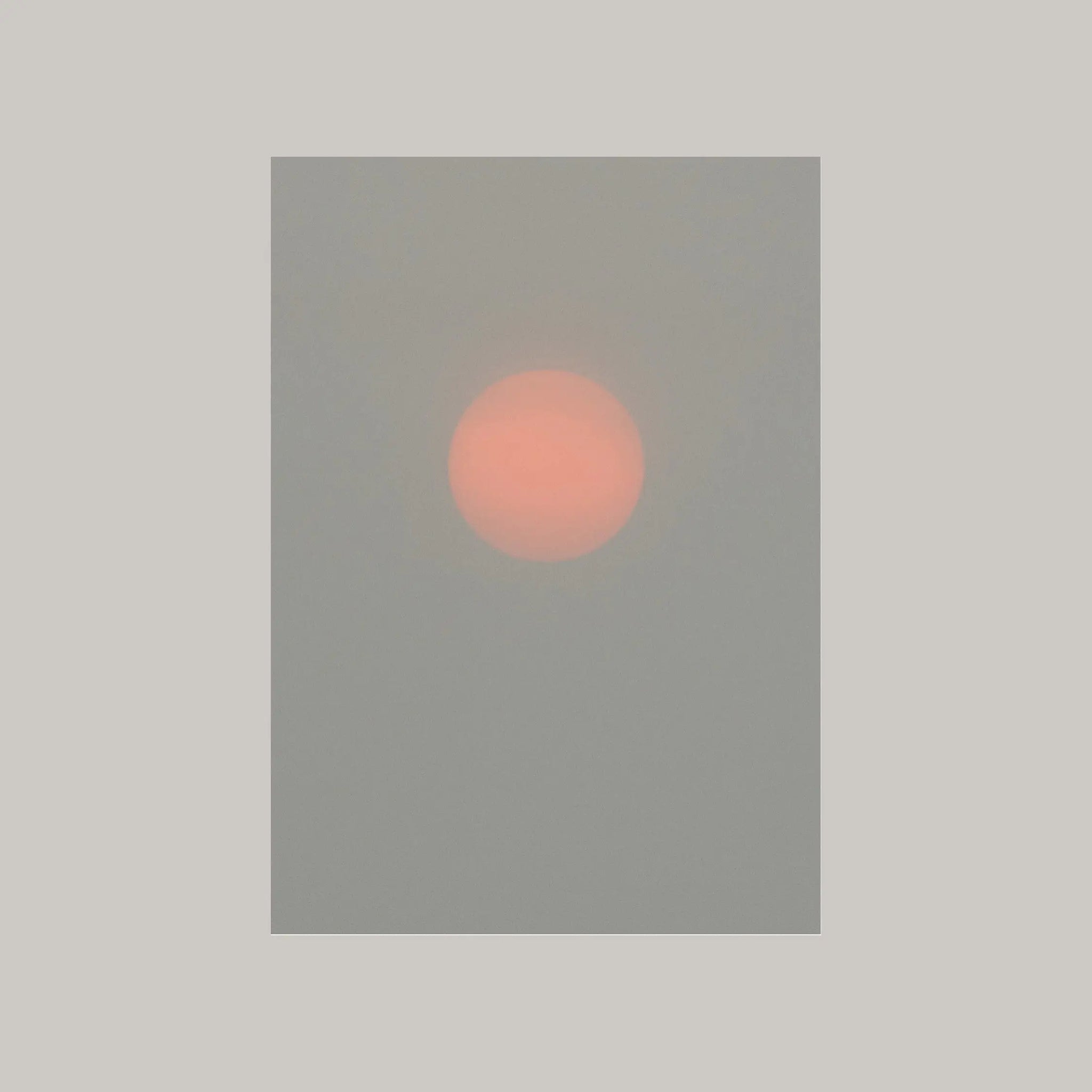 Noah Sheldon Catalogue - Pink & Tan
